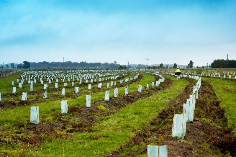Digging deep to renew quarries - Resources Victoria